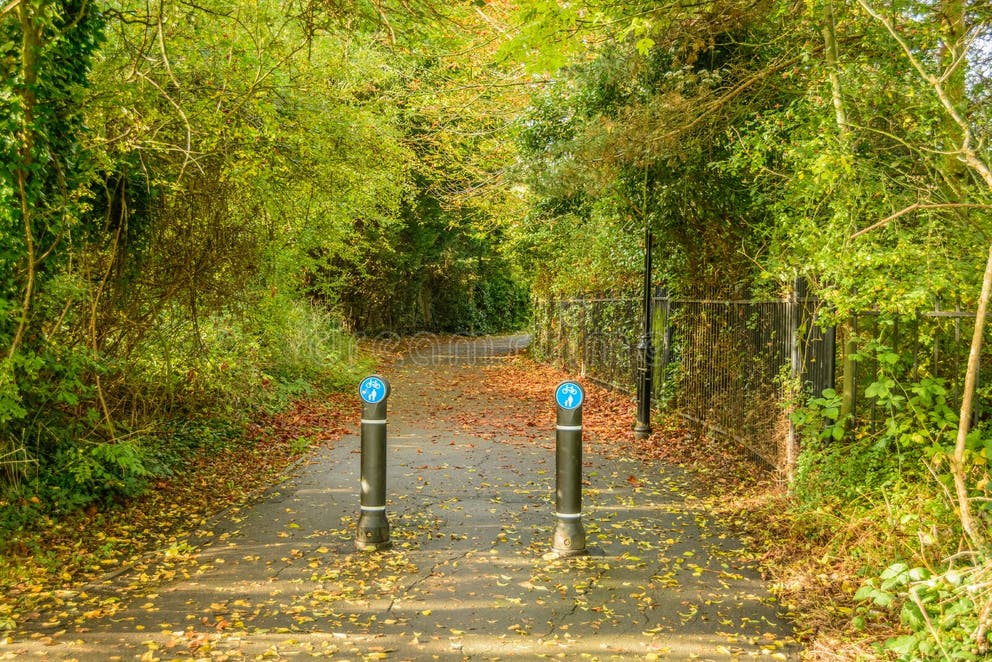 Cycle path through town stock image. Image of tree, autumn - 49328113