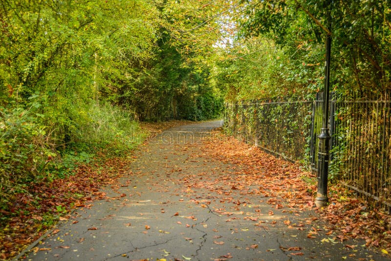 Cycle path through town stock photo. Image of path, jungle - 49328116