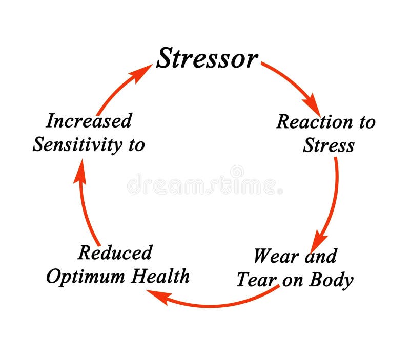 Cycle of stress stock illustration. Illustration of psychology - 85611883