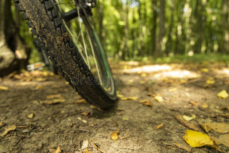 Cycle Tire Wheel Dirt Ground Soft Focus Vehicle Object Unfocused ... Cycle Tire Wheel Dirt Ground Soft Focus Vehicle Object Unfocused ...