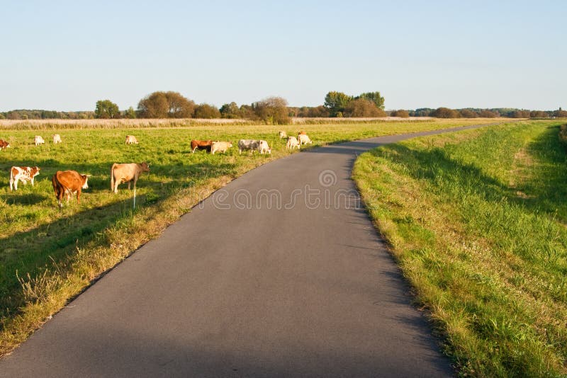Cycle track stock photo. Image of path, germany, outdoor - 11405742