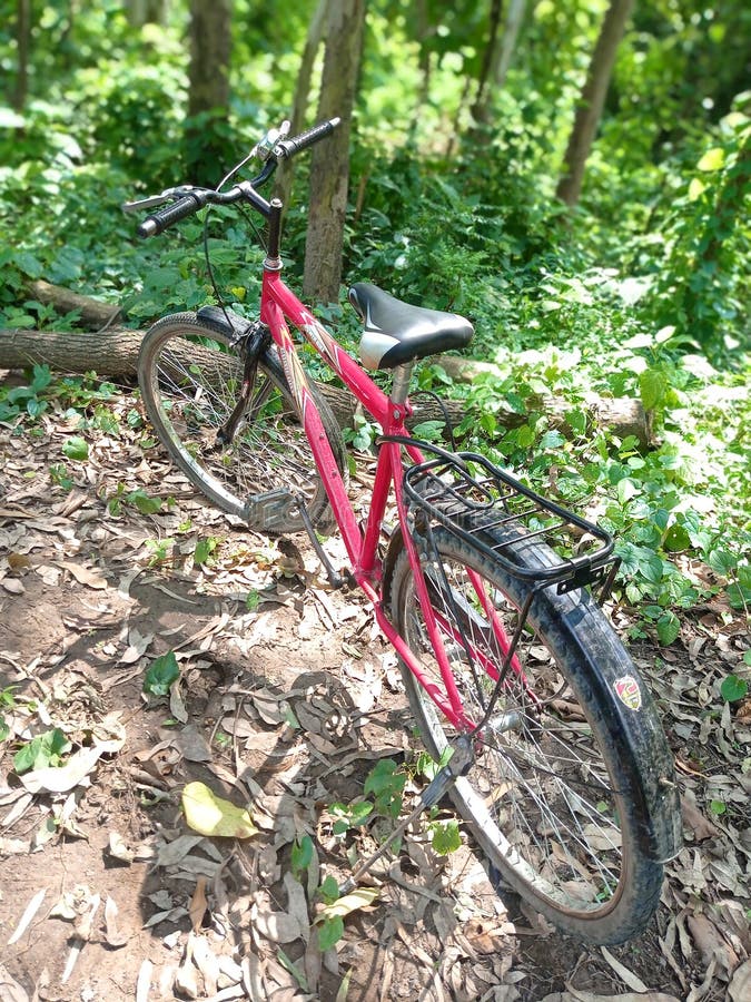 Cycle two wheeler editorial image. Image of cycle, wheeler - 226181355