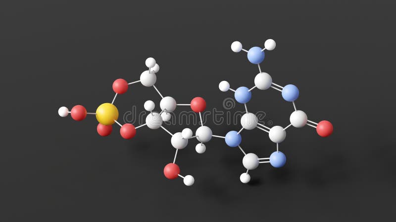 Cyclic Guanosine Monophosphate Molecule 3d Rendering, Flat Molecular ...