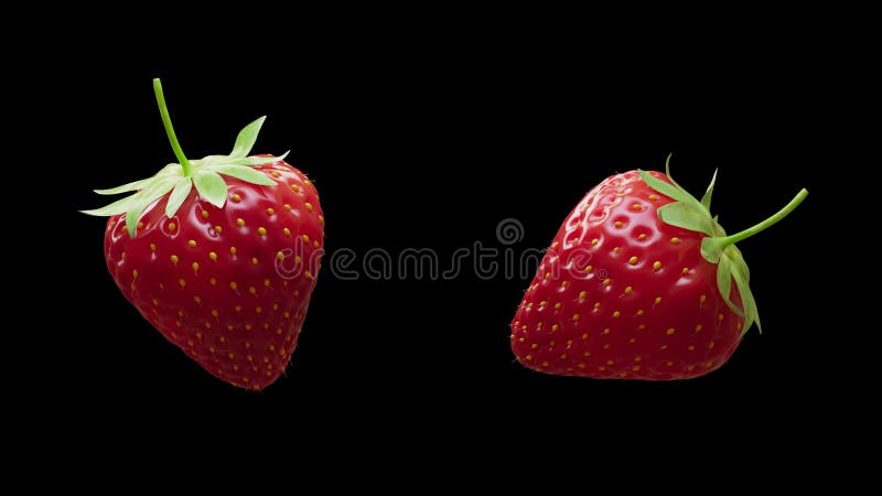 Cyclic Rotation of Two Types of Strawberry Around Their Axis. Alpha ...