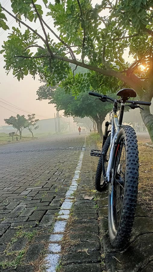 Cycling Activity in the Morning Which is Healthy Stock Image - Image of ...