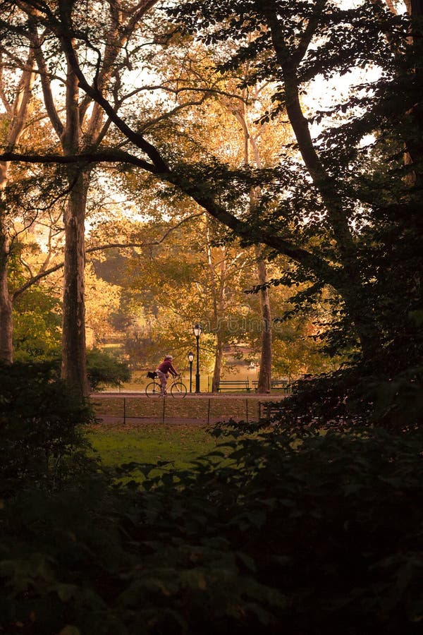 Central Park, NY - Riding a Bike on a Fall Day Stock Image - Image of dream, park: 109949739