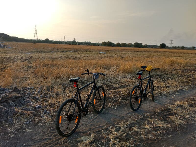 Cycling stock image. Image of plant, cycle, tree, recreation - 94553335