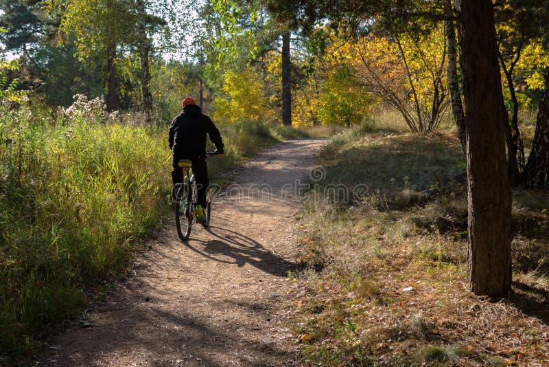 Cycling through the forest stock photo. Image of group - 754618