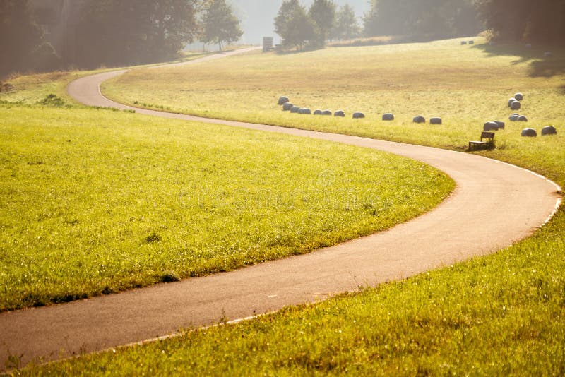 Cycling Path Along the Edge of a Forest and Meadow. Stock Photo - Image ...