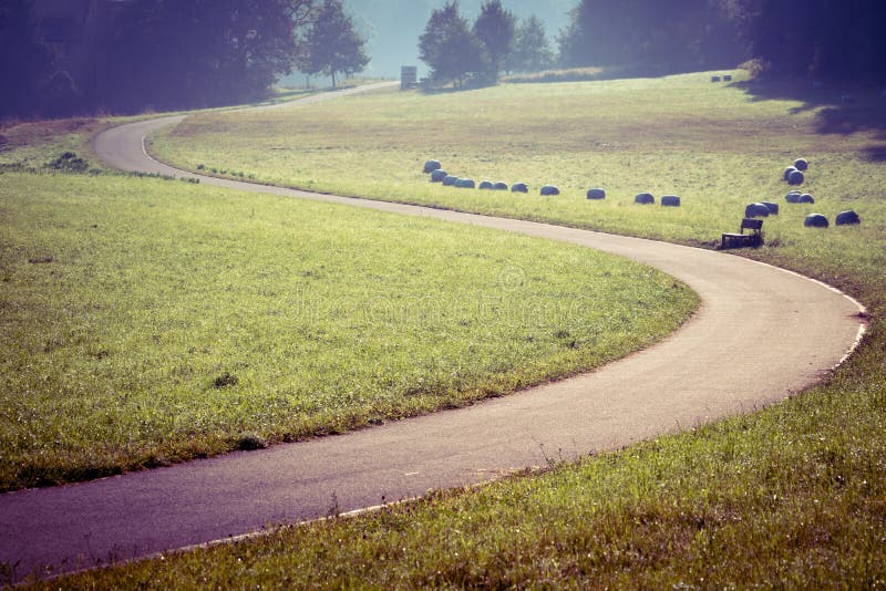 Cycling Path Along the Edge of a Forest and Meadow Stock Photo - Image ...