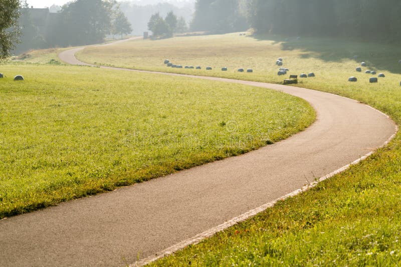 Cycling Path Along the Edge of a Forest and Meadow Stock Photo - Image ...