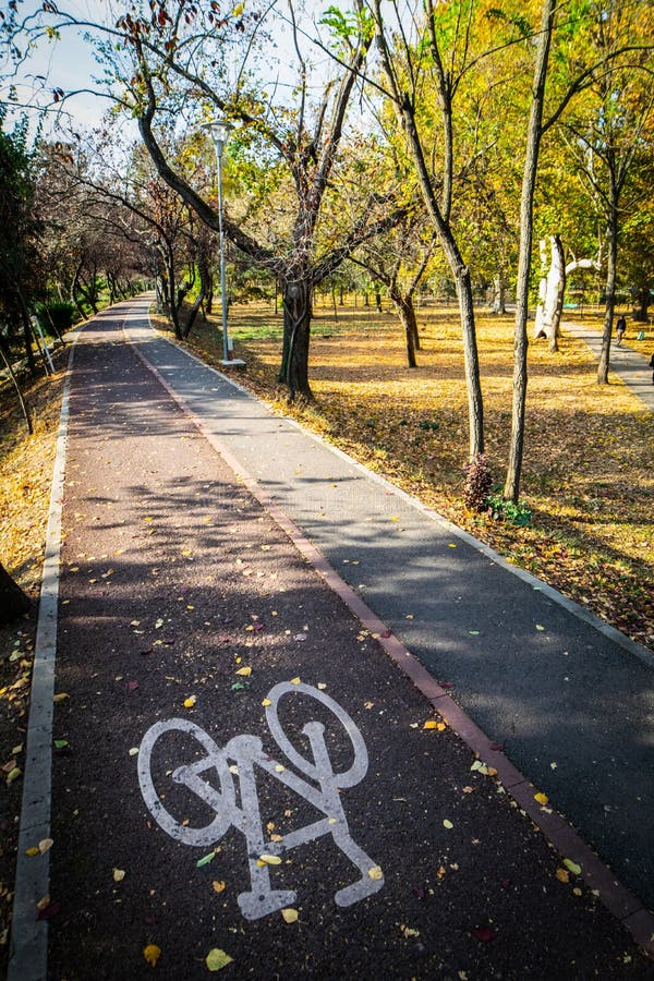 Cycling Paths in Timisoara Park Stock Photo - Image of people, pathway ...