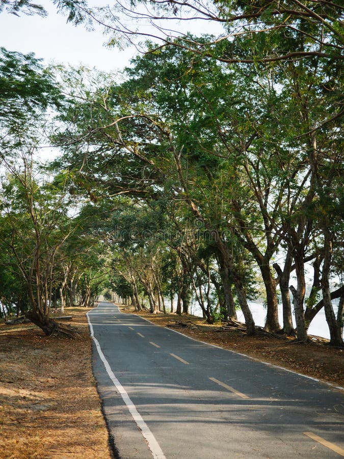 Cycling or Running or Walking Trails in a Park Stock Photo - Image of ...