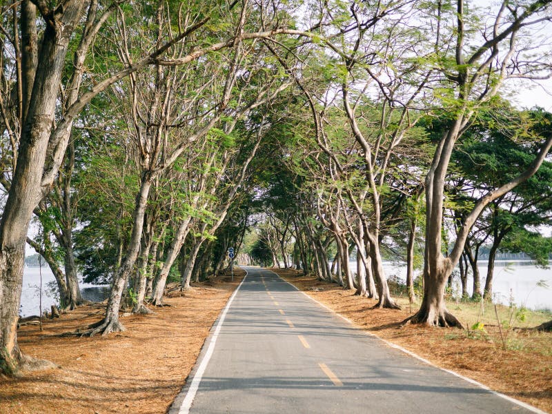 Cycling or Running or Walking Trails in a Park Stock Image - Image of ...