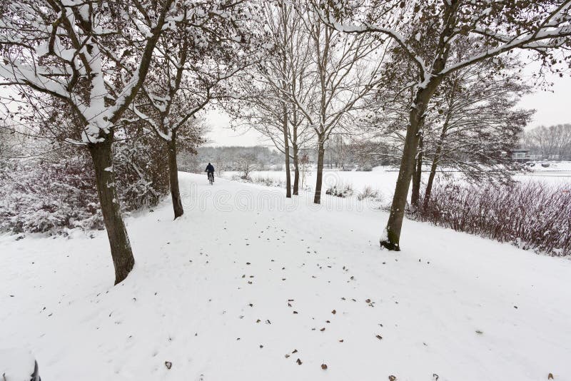 Cycling Snowy Path through Trees Stock Image - Image of mountain ...