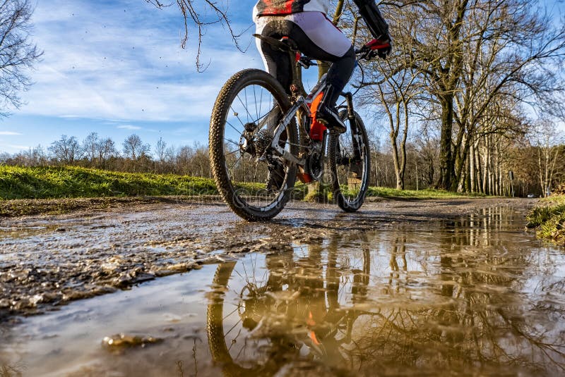 Cycling in a sunny morning stock image. Image of sunny - 244659417
