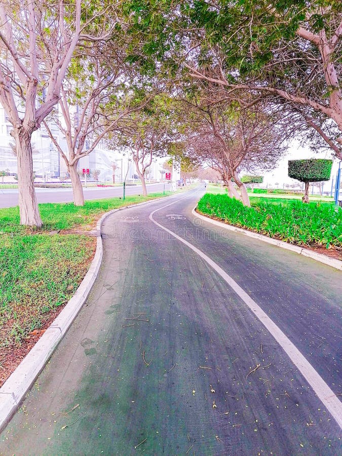 Cycling Track Big Trees and Both Side Plants Stock Image - Image of ...