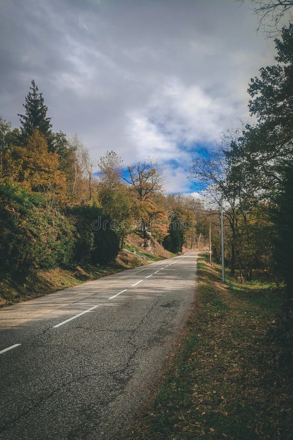 Cycling Trail Along a Forest on Both Sides. Stock Image - Image of lane ...