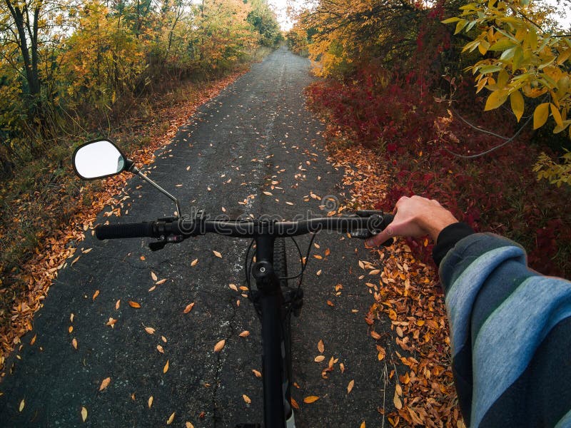 Cyclist on a Bicycle First-person View on a Forest Path Stock Photo ...