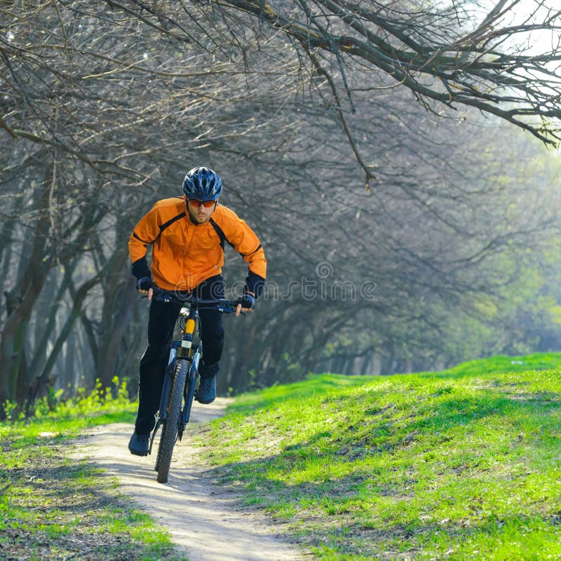 Cyclist Riding the Bike on the Trail in the Forest Stock Photo - Image ...