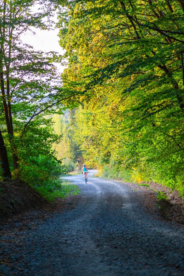 Cyclist Riding through Forest Trail Stock Image - Image of path ...