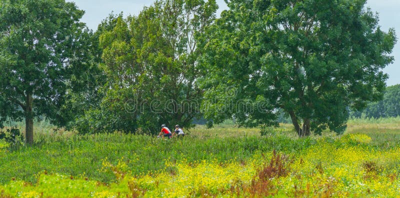 Cyclists Cycling through Nature in Sunlight Editorial Image - Image of ...
