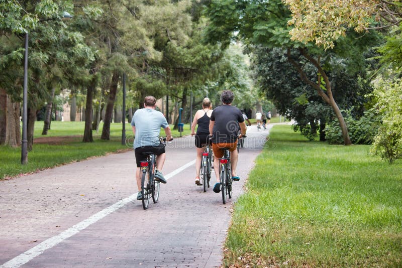 Cyclists Riding on Bikes Cycling on a Cycle Path in a Park in Summer ...