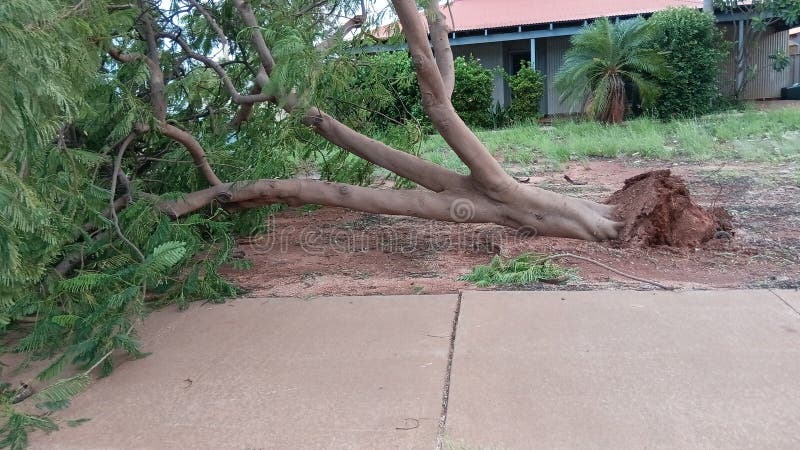 Cyclone Zelia stock photo. Image of uproot, cyclone - 361510658