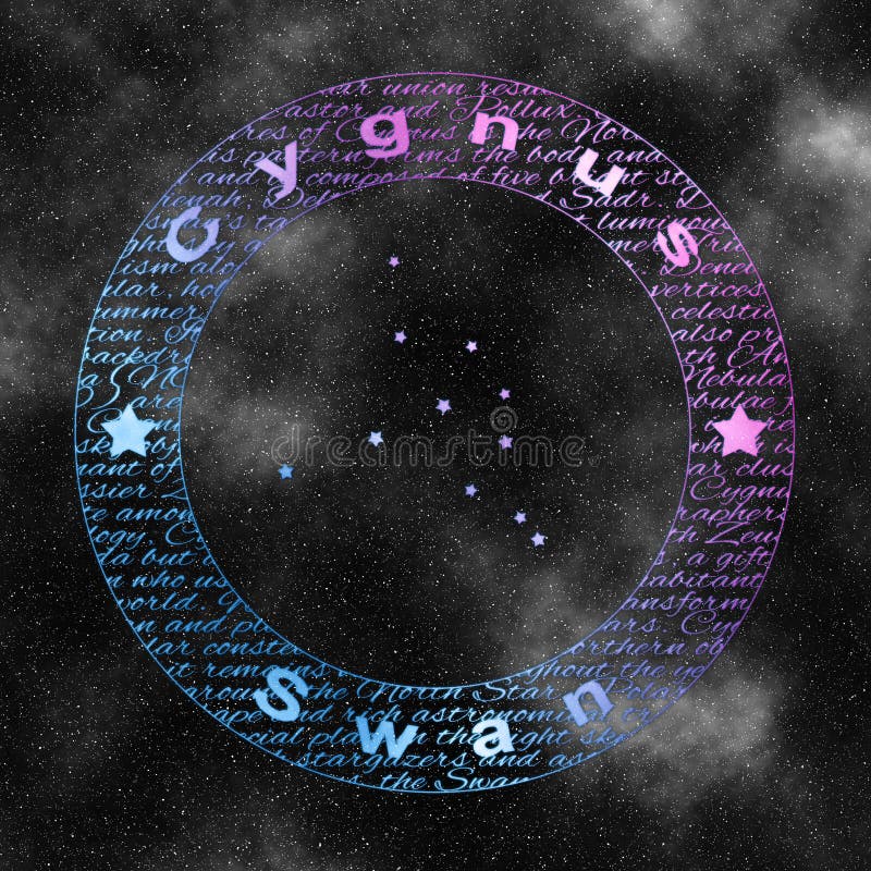 Cygnus Constellation, Swan Constellation, Northern Cross Stock ...