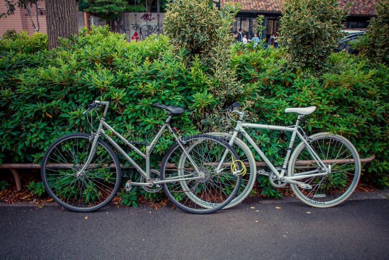 Cykel arkivfoto. Bild av stad, inomhus, parkera, härlig - 65634634