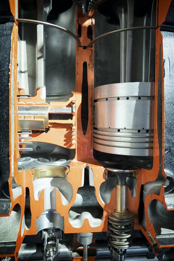 Cylinder - cross section stock photo. Image of cross - 36957268