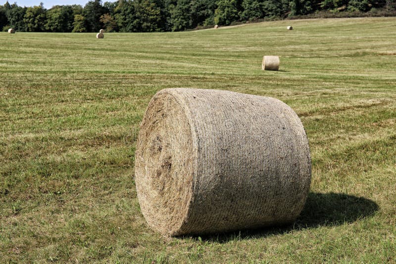 Cylinder Packet of Straw on the Green Field Stock Photo - Image of ...