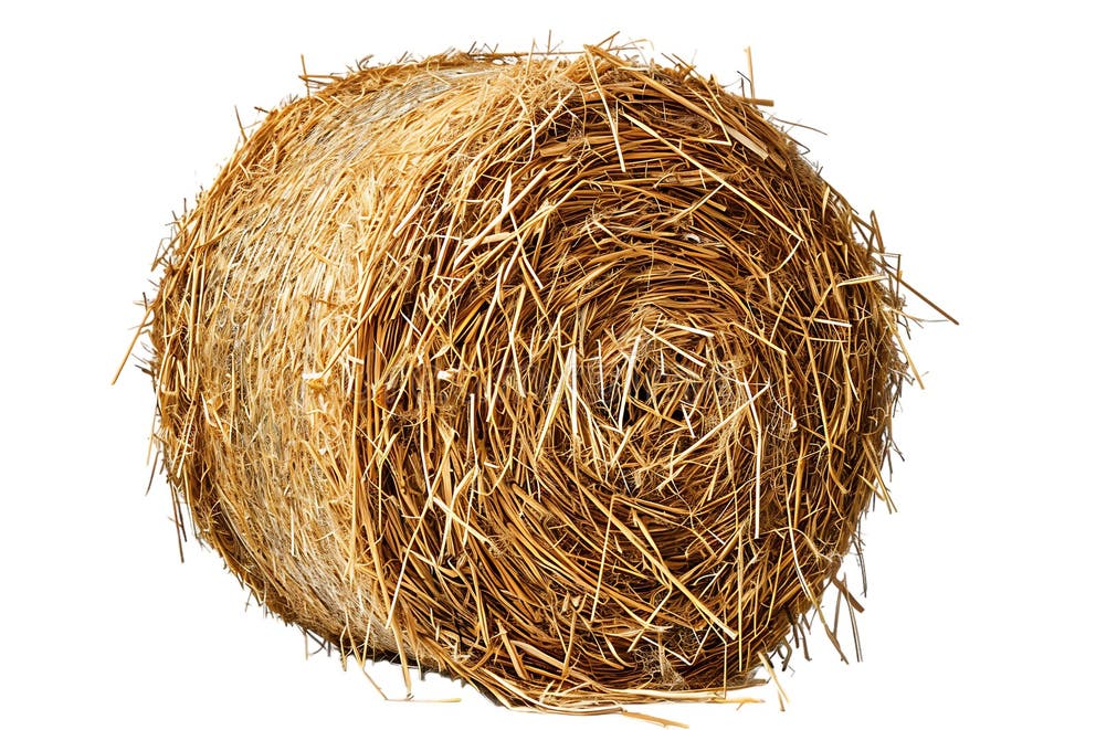 Cylindrical or Round Hay Bale Isolated Stock Photo - Image of overlay ...