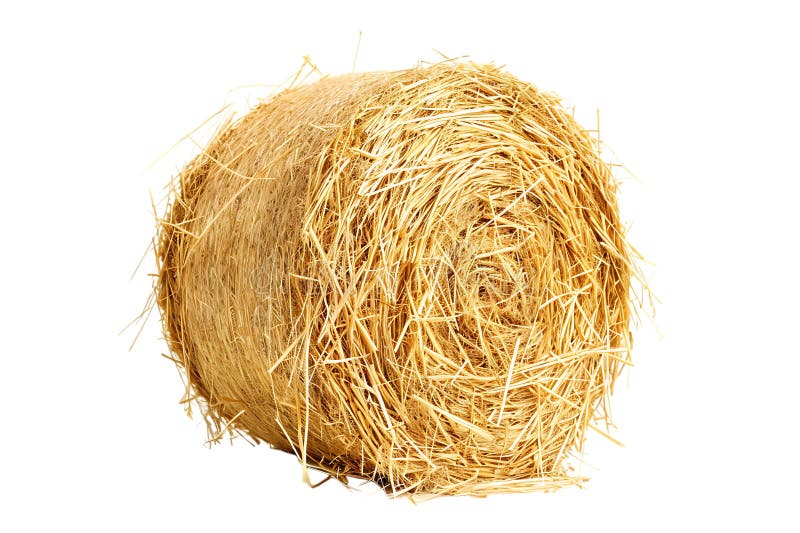 A Cylindrical or Round Hay Bale Isolated Against a Transparent ...
