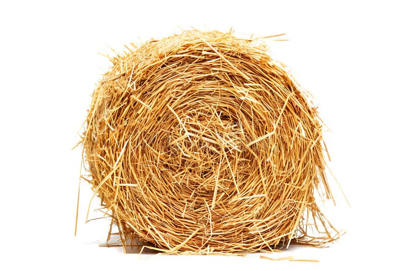 A Cylindrical or Round Hay Bale Isolated Against a Transparent ...