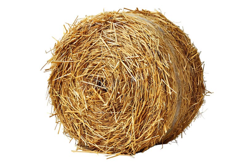 A Cylindrical or Round Hay Bale Isolated Against a Transparent ...