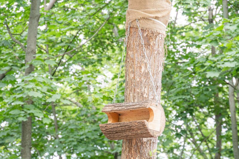 Cylindrical Clear Bird Feeder Stock Photos - Free & Royalty-Free Stock ...