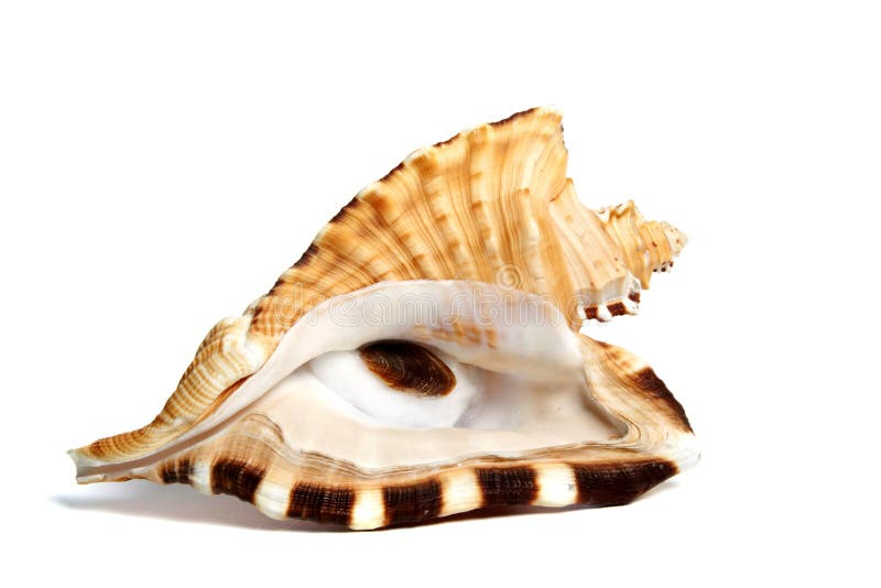 563 Aufnahmevorrichtungen Fotos - Kostenlose und Royalty-Free Stock ...