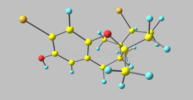 Algae Cymopolia Barbata Stock Illustrations – 10 Algae Cymopolia ...