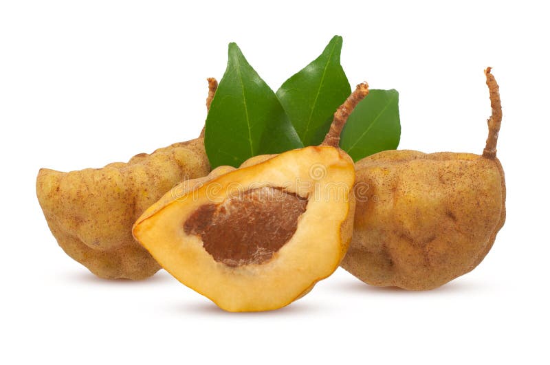 Cynometra Cauliflora Fruit Isolated on White Background Stock Photo ...