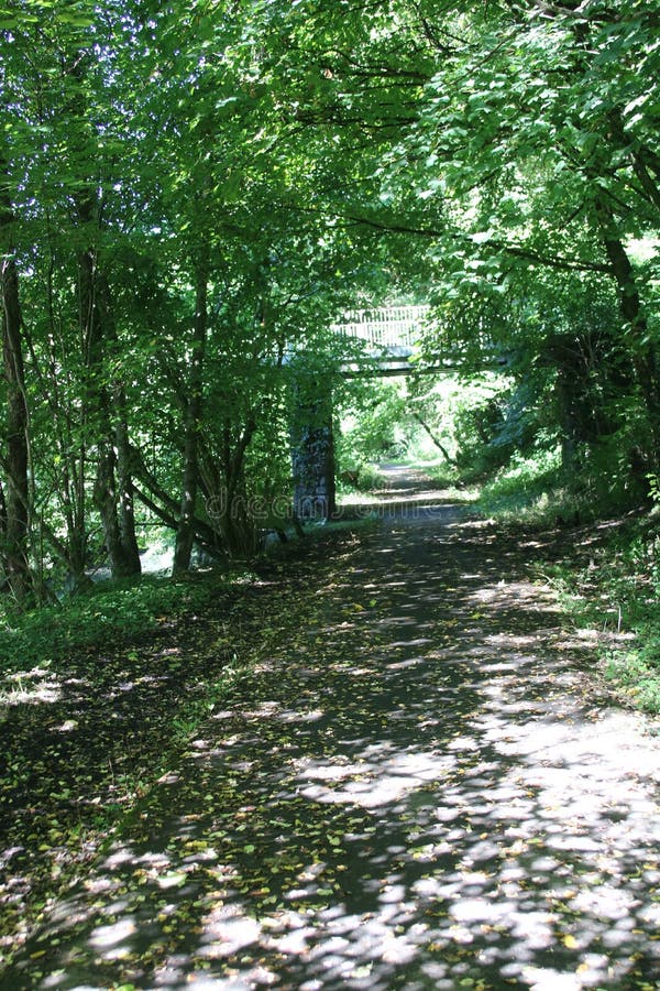 Cynon Valley Walk in the Summer Stock Image - Image of vall, bridge ...