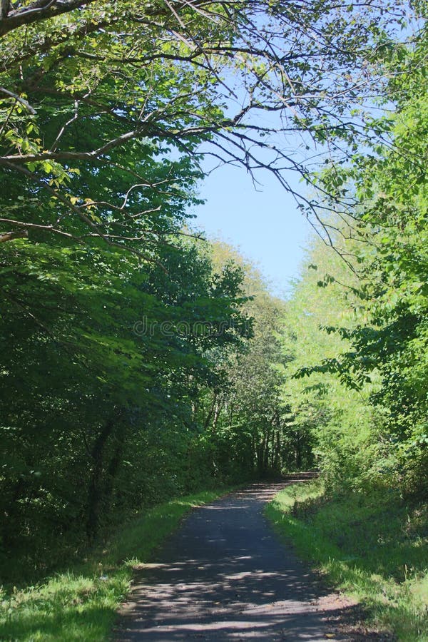 The Cynon Valley Walk in Summer Stock Image - Image of light, leaf ...