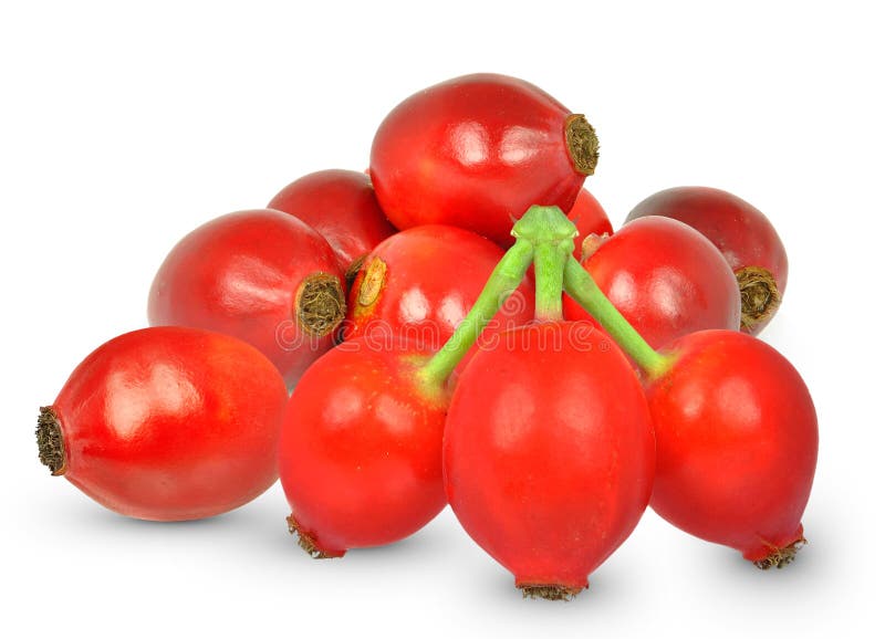 Fruit de cynorrhodon image stock. Image du crabot, médecine - 52805273