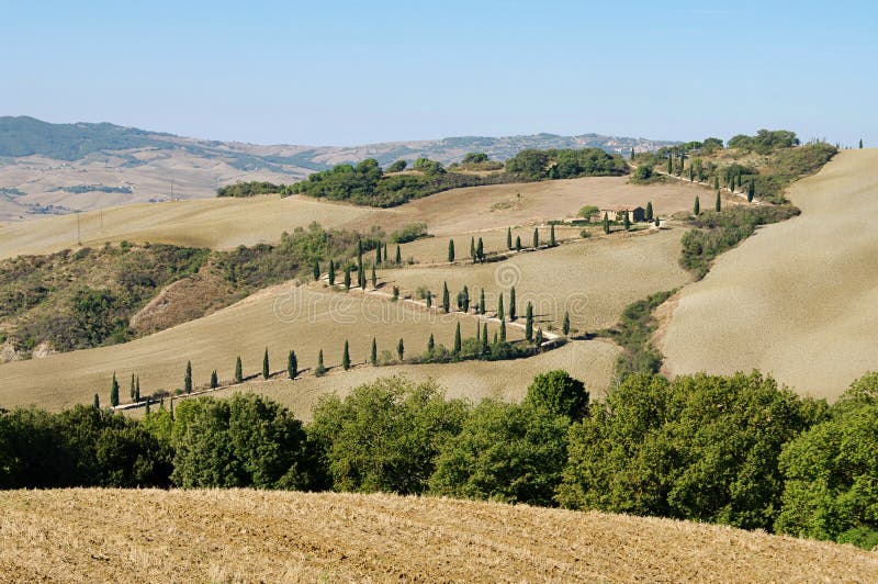 Fall S Curve stock photo. Image of color, nature, colorful - 4902974