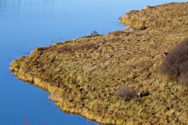 Saskatchewan Alberta Border Stock Photos - Free & Royalty-Free Stock ...