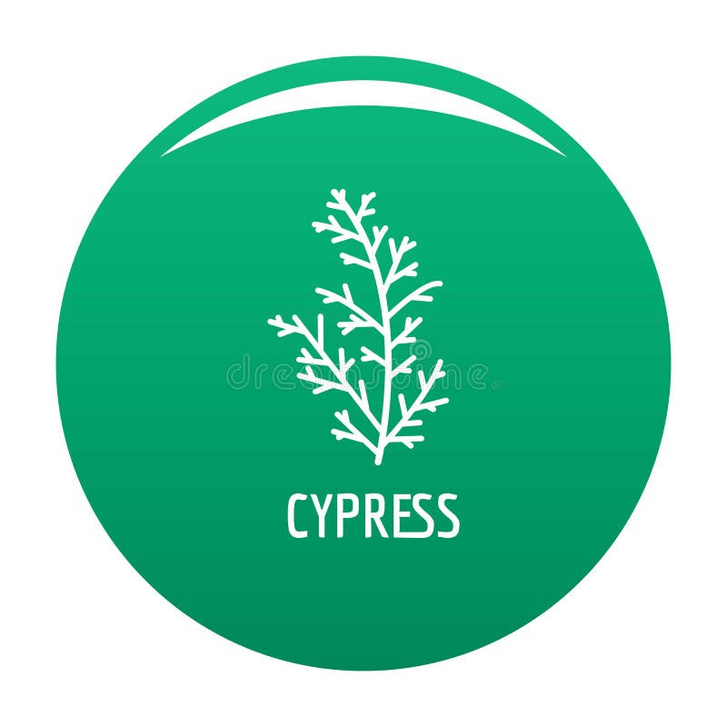 Cypress Leaf Icon Vector Green Stock Vector - Illustration of louisiana ...