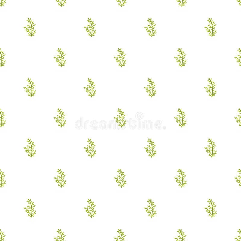 Cypress Leaf Pattern Seamless Stock Vector - Illustration of flora ...