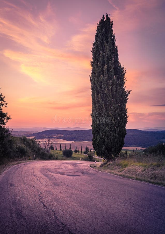 Tree down on fence stock photo. Image of fence, winds - 140607688