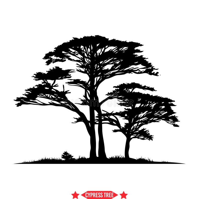 Cypress Tree Silhouette Clipart Versatile Graphics for Creative ...