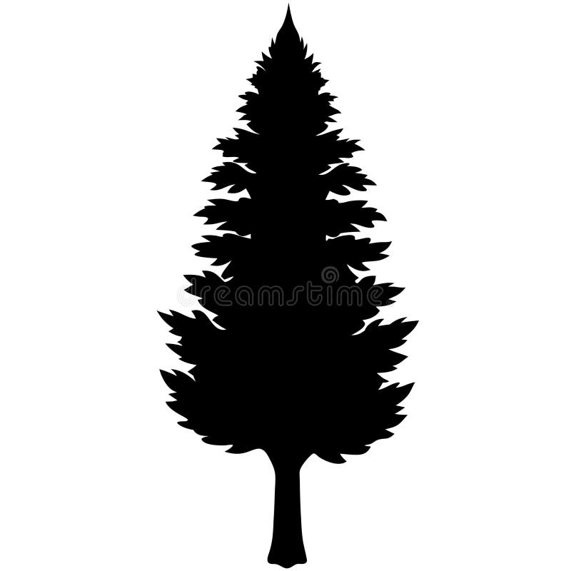 Cypress Tree silhouette stock vector. Illustration of flora - 337813653